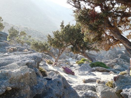Hiking on E4 European path Crete - from Kissamos to Zakros